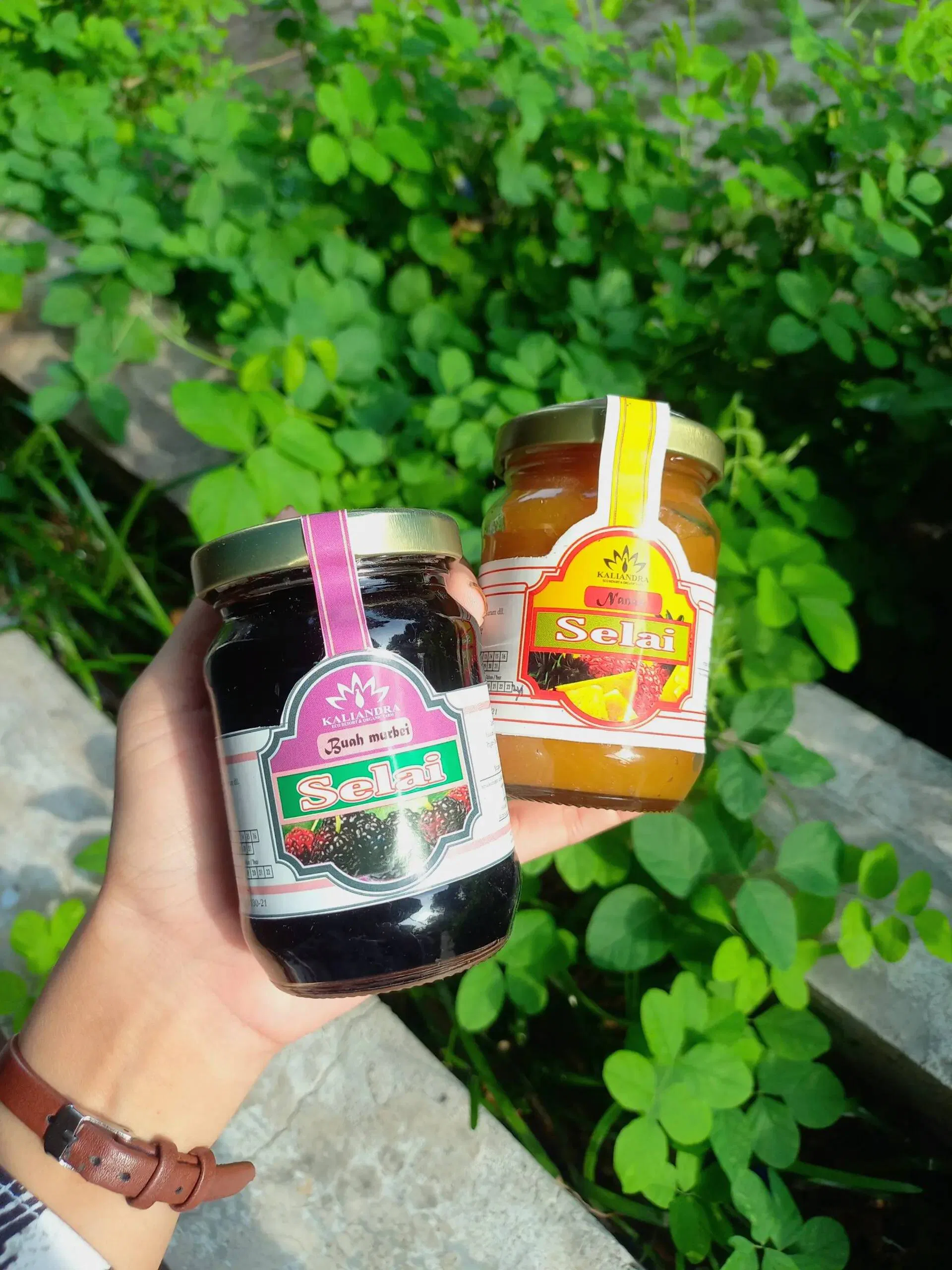 Organic Farm – Kaliandra Resort & Organic Farm