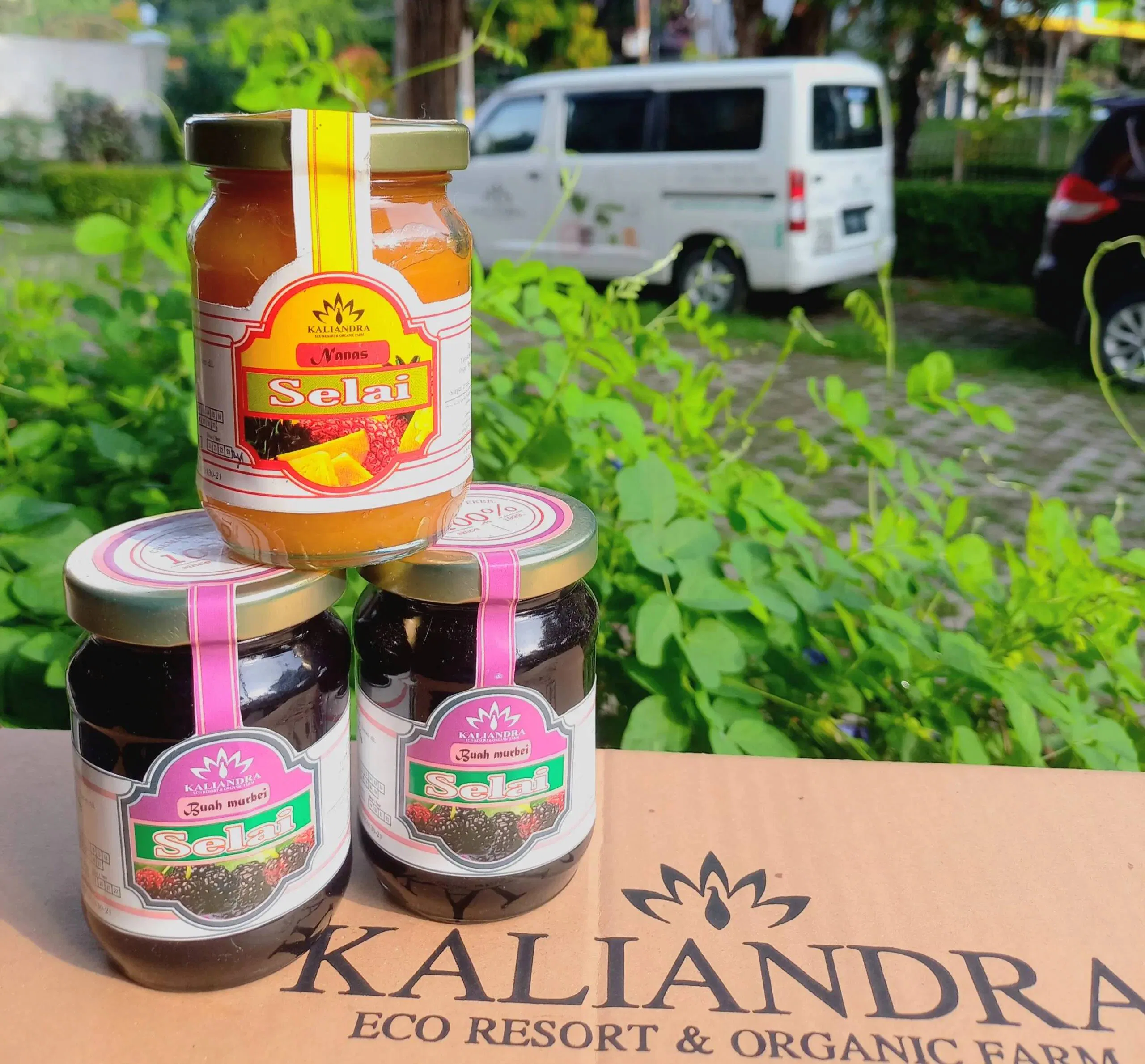 Organic Farm – Kaliandra Resort & Organic Farm