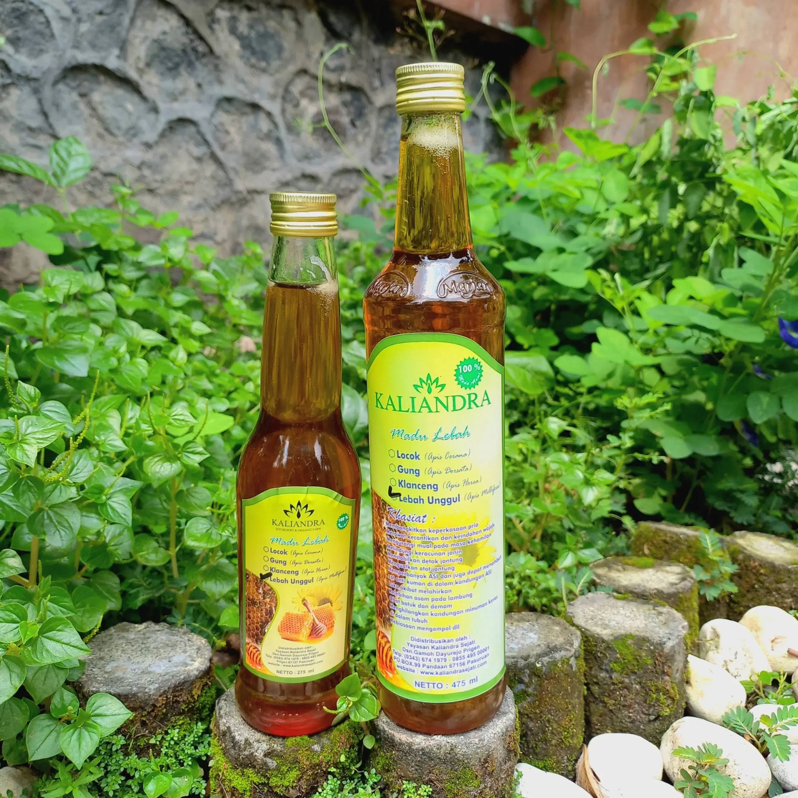 Organic Farm – Kaliandra Resort & Organic Farm
