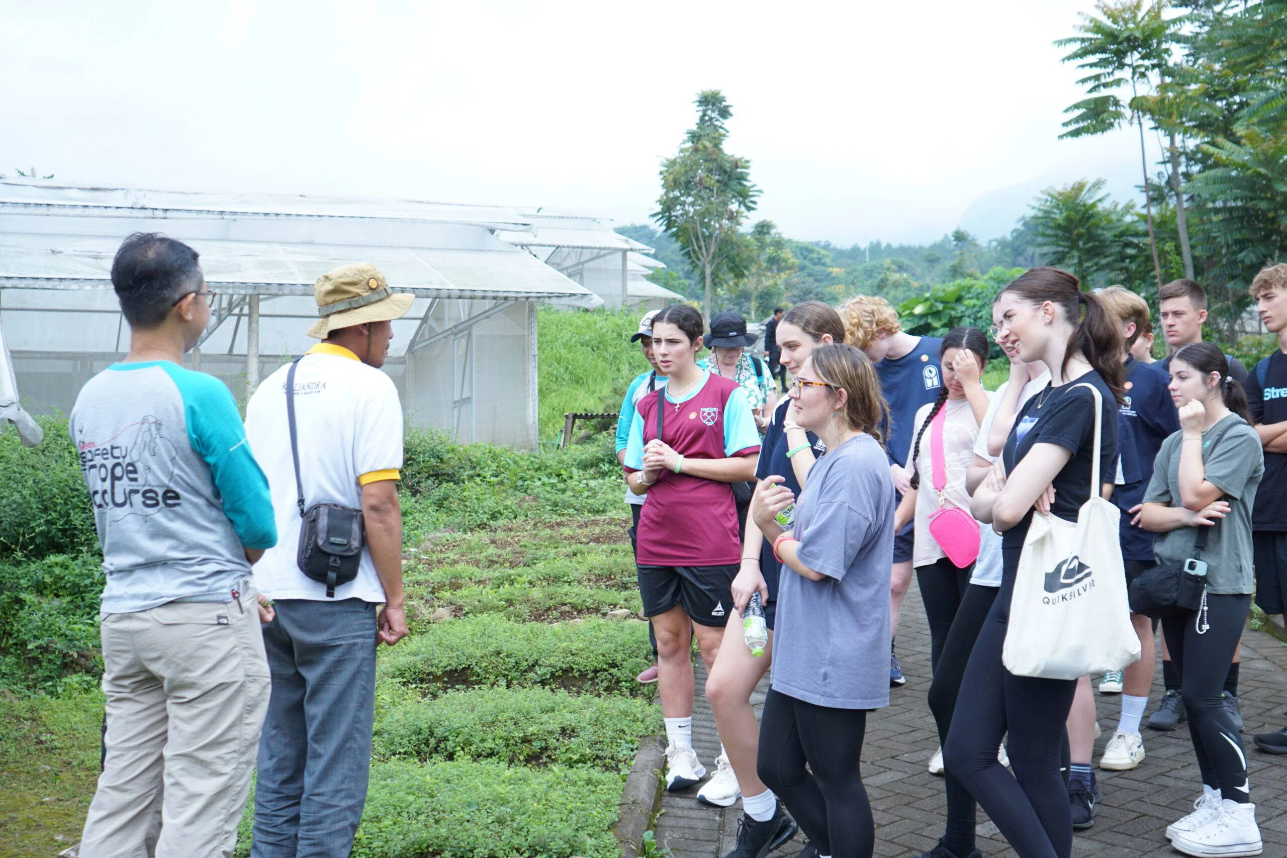 Planting and Harvesting – Kaliandra Resort & Organic Farm
