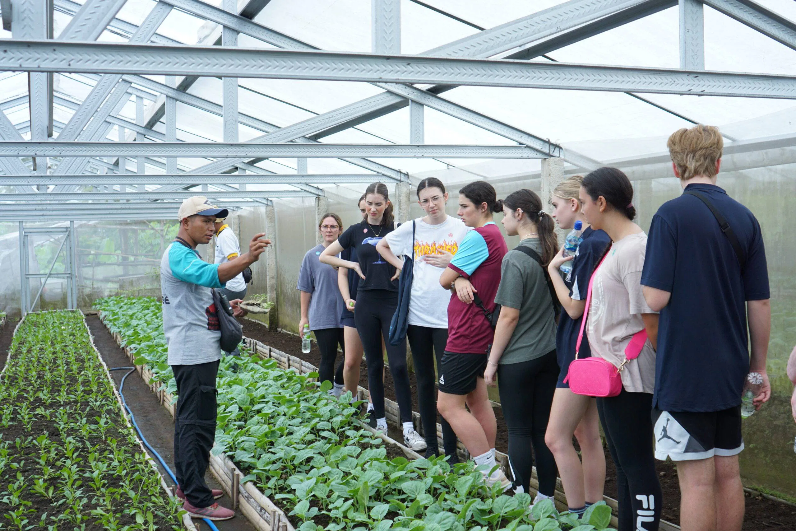 Planting and Harvesting – Kaliandra Resort & Organic Farm