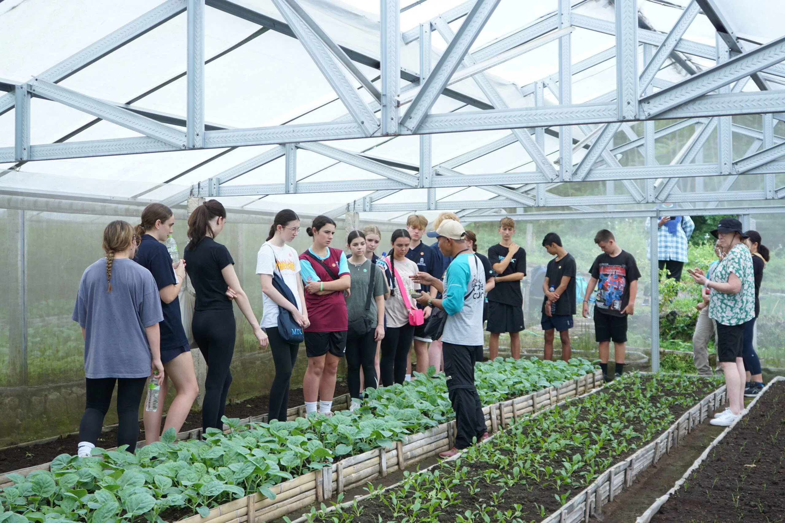 Planting and Harvesting – Kaliandra Resort & Organic Farm