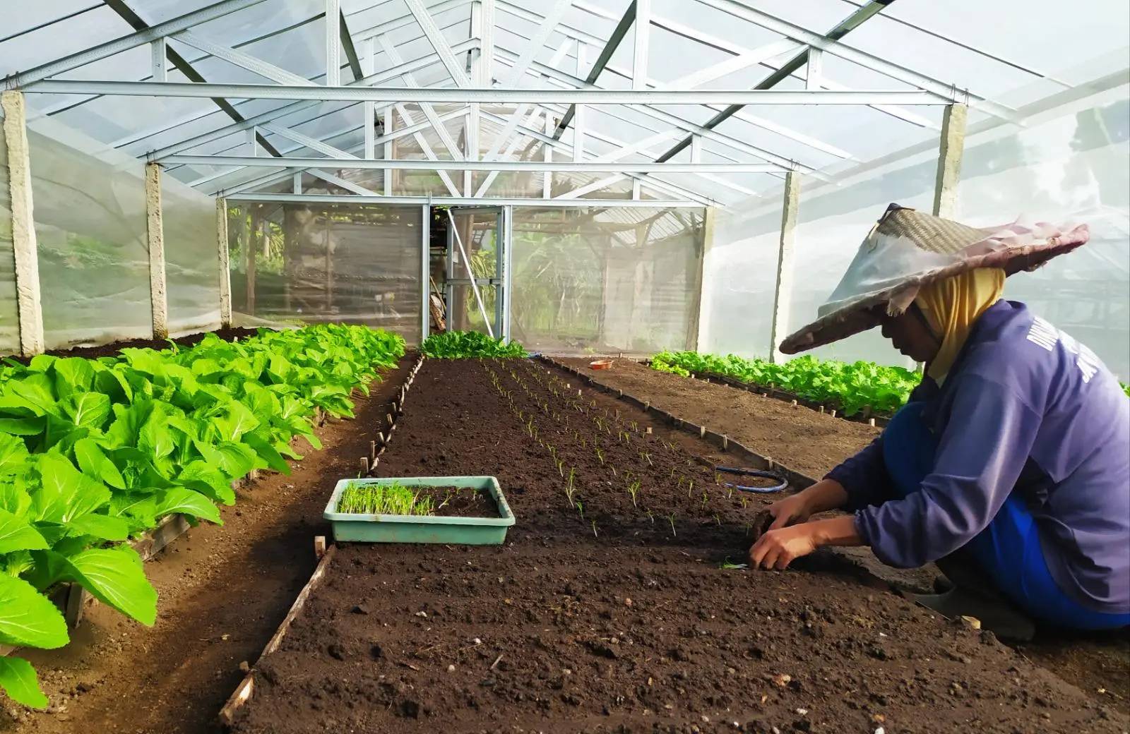 Organic Farm – Kaliandra Resort & Organic Farm