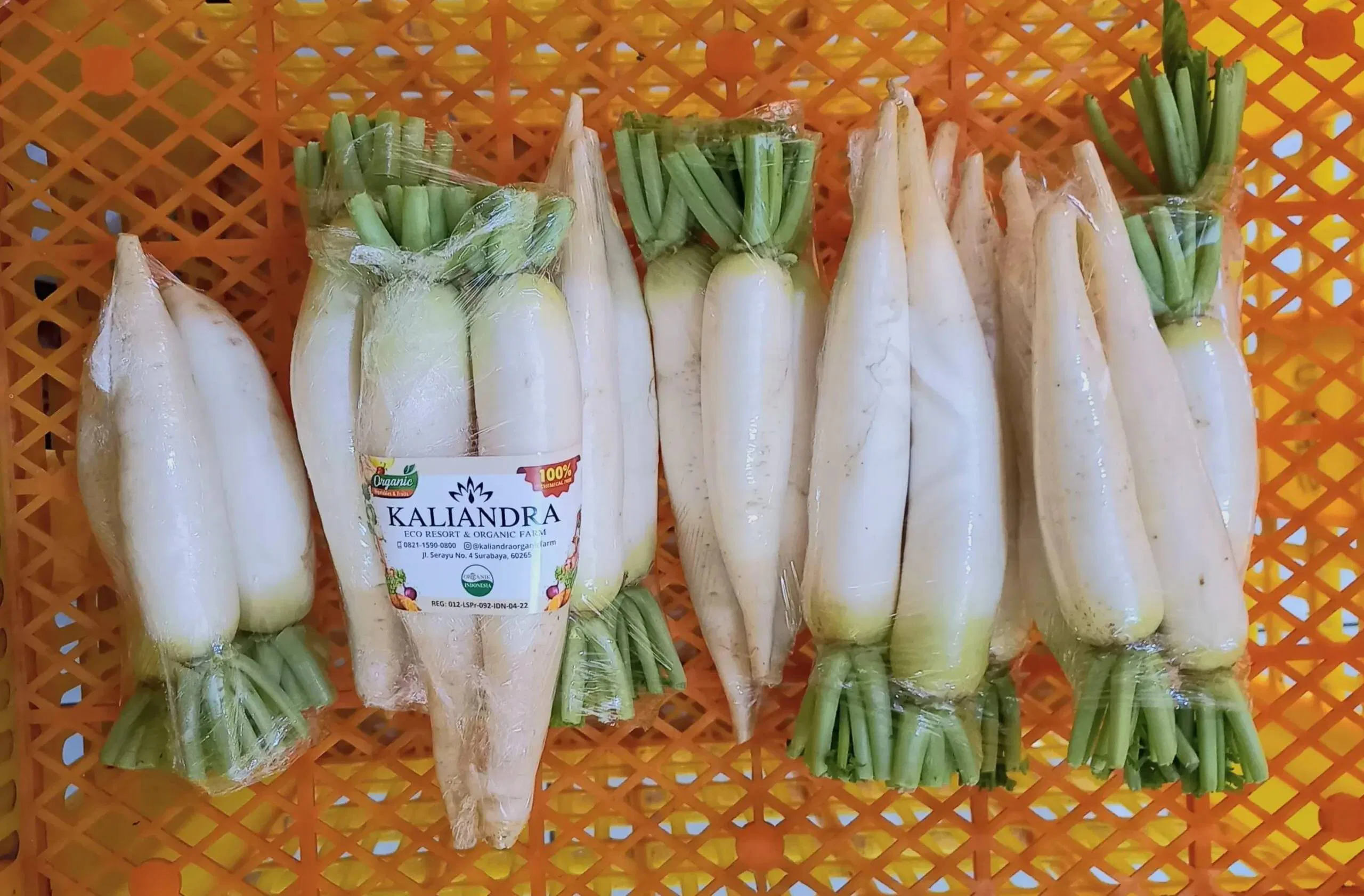 Organic Farm – Kaliandra Resort & Organic Farm